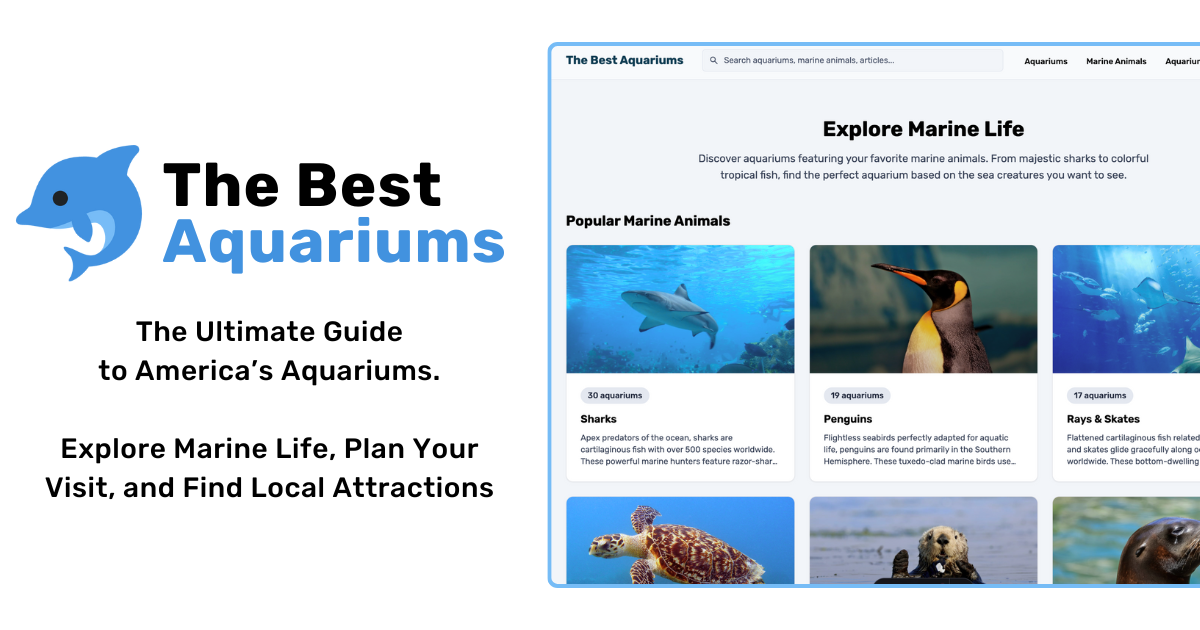 The Best Aquariums | Aquariums Directory